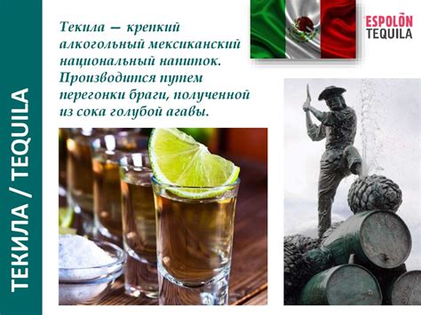 Крепкий алкогольный мексиканский национальный напиток текила презентация онлайн