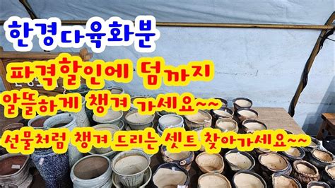 2023년 11월 27일317회차영상 한경다육화분 수제공방분 공방분 다육화분 예쁜화분 다육생활 다육이 다육화분 Youtube