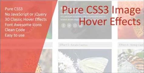 30 款最新的免費jquery css3圖片懸停效果欣賞 每日頭條