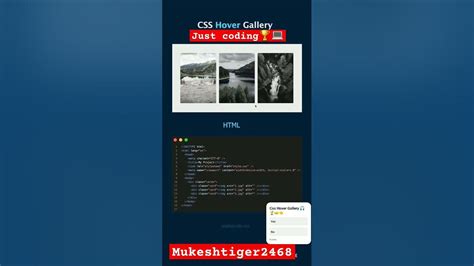 Css Hover Gallery Coding🏆💻 Html Css Js Viralvideo Shorts🏆