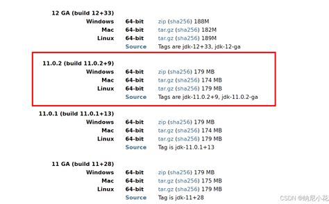 Windows、linux安装open Jdk11openjdk11下载 Csdn博客