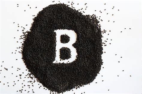 달콤한 바질 검은 씨앗의 소수 흰색 배경에 영어 알파벳의 문자 B 대문자 흑백 글자 타이 포 그래피 건강하고 슈퍼 푸드 수평 0명에 대한 스톡 사진 및 기타 이미지 Istock
