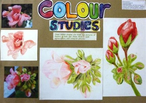 Pin On Igcse Coursework Examples