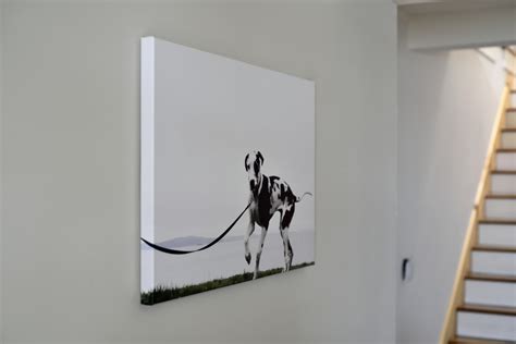 How To Hang Canvas Without Nails GAEKKO Picture Hanger Stick Screw Or Nail Pictures On The Wall