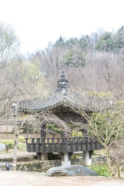 정자 전통 기와 연못 선 사진 이미지 일러스트 캘리그라피 봉구58작가
