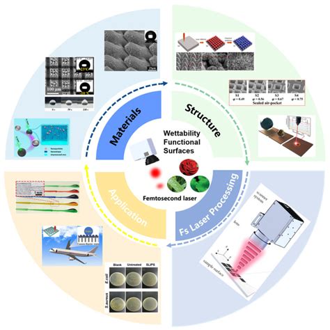 Femtosecond Laser Fabrication Of Wettability Functional Surfaces A