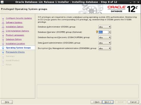 Oracle 12c Grid Infrastrucutre Asm Oracle Installation And Create Standalone Database