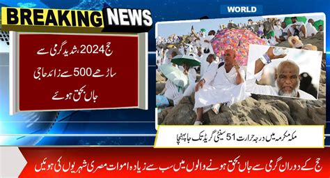 حج 2024، شدید گرمی سے ساڑھے 500 سے زائد حاجی جاں بحق ہوئے Tapmad