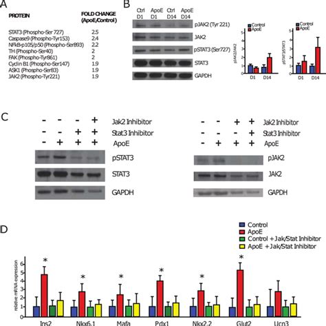 Apolipoprotein Genes Plos One