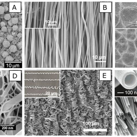 Different Nanofibrous Structures Fabricated By Electrospinning Download Scientific Diagram