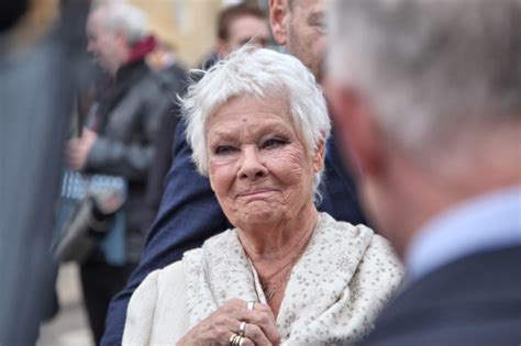 Judi Dench Fired Agent After Theme Park Plunge