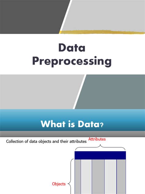 Data Preprocessing For Clustering Pdf Skewness Categorical Variable