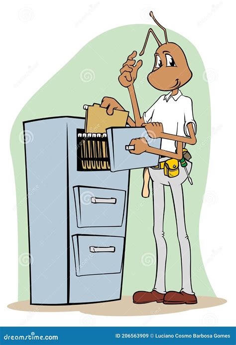 Catalogs And Folders Line Icons Collection Organization Sorting Categorization Storage