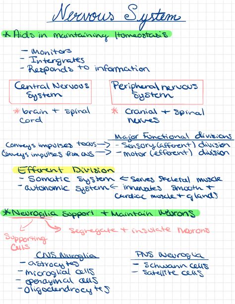 nervous system an s 214 warning error during font loading xmlrequest is not defined
