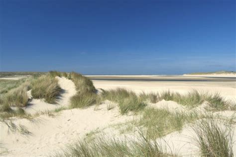 Mathworks Announces Release 2024b Of Matlab And Simulink Rai Vereniging