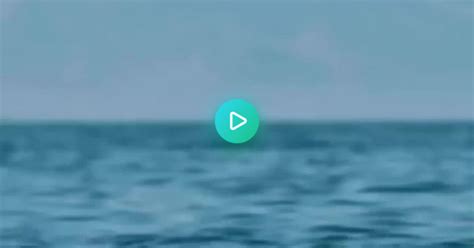 Unmute Or Not Its Up To You Theres Some Chill Glitchy Drum And Bass Going On Album On Imgur