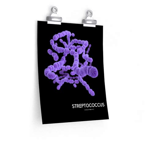 Streptococcus Poster Worldwide Science Microbiology Etsy