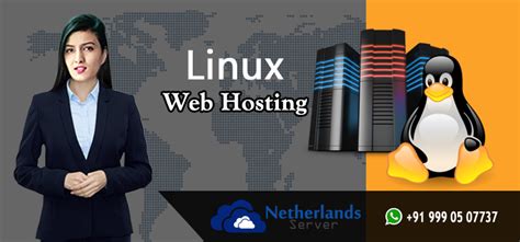 Linux Web Hosting Would Be Affordable And Inexpensive Support