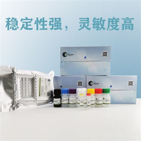 小鼠活性氧（ros）elisa试剂盒 Xym9437001 上海信裕生物 信裕生物 试剂盒elisa试剂盒 检测试剂盒抗体细胞