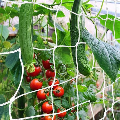 Trellis Netting Heavy Duty Garden Plant Trellis Netting For Climbing Plants Outdoor Indoor Grow