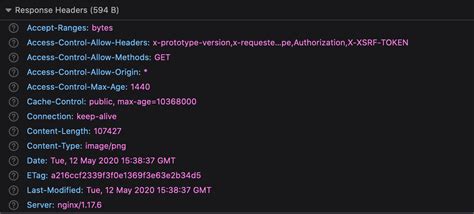 Why Does Chrome Make A Request For Already Cached Image With Max Age