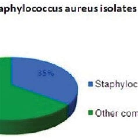 Staphylococcus Aureus Isolates Download Scientific Diagram