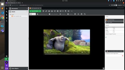 Bug Video Thumbnail Is Not Generated Issue 13337 Pimcore Pimcore GitHub