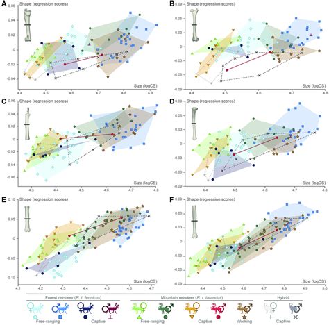 Multivariate Regression Plots Performed On The Shape Data Regression