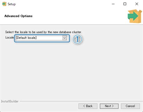 【postgresql】windowsへpostgresql11のインストール Postgresweb ポスグレウェブ