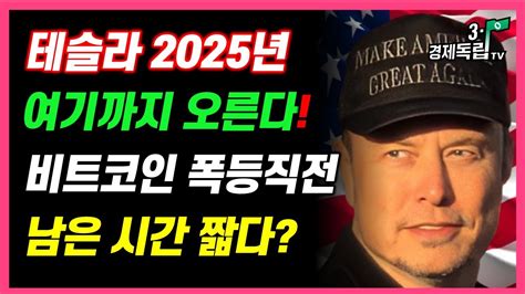 2025년 테슬라비트코인 어디까지 오르나 머스크마이클세일러 충격 전망 31경제독립tv Youtube