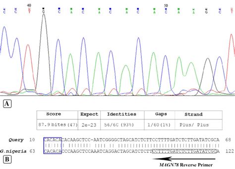 Electropherogram And Alignment Results A Chromatogram Results Of