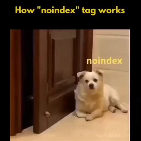 Sarath Surendran On Linkedin Exactly 😂