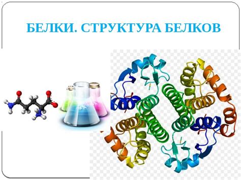 БЕЛКИ. СТРУКТУРА БЕЛКОВ