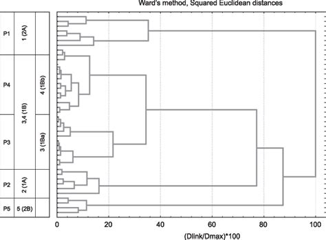 Dendrogram Generated By Non Stratigraphically Constrained Squared