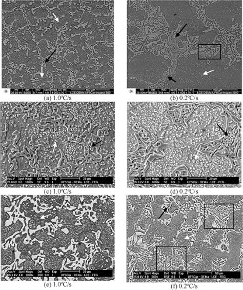 Growth Of Lamellar Eutectic And Co Existence Of Bi Rich Precipitates In