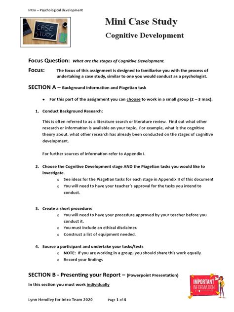 Cognitive Development Case Study Assignment Pdf Cognition Theory