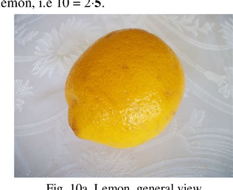 Figure 9 From Interpretation Of Fibonacci Numbers In Botany On The Example Of Selected Fruits
