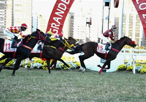 Páreos seguem sendo realizados no Jockey Club de São Paulo hipódromo