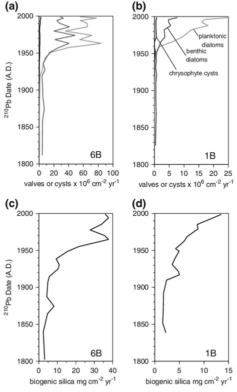 Siliceous Microfossil And Biogenic Silica Accumulation Versus 210 Pb Download Scientific