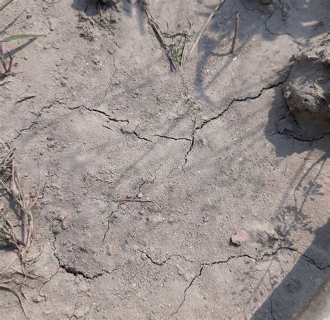 Soil Is A Soft Granular Covering Of The Earth S Surface Soil Is