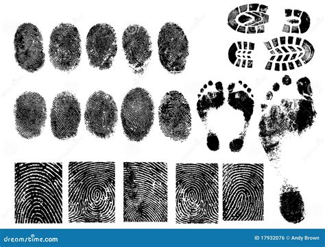 Vector Fingerprints Biometric Data Identification Stock Image 171488449