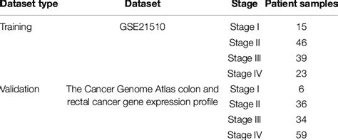 Samples For Tnm Staging System Associated With Colon And Rectal Cancer