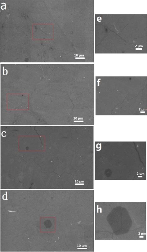 Sem Image Of Monolayer Graphene Prepared On Four Copper Foils
