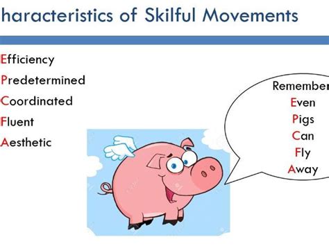 Skill Classification And Characteristics Gcse Pe Teaching Resources