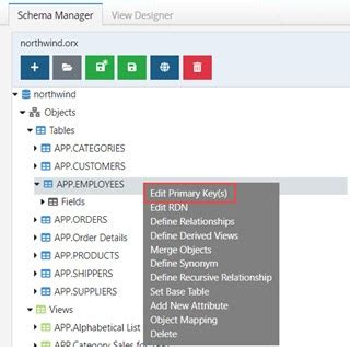 Context Builder Guide Radiant Logic Documentation