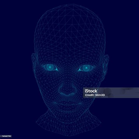 파란색 선에서 소녀의 머리의 와이어 프레임입니다 여자의 다각형 머리입니다 3d 벡터 그림 사람 얼굴에 대한 스톡 벡터 아트 및 기타 이미지 Istock