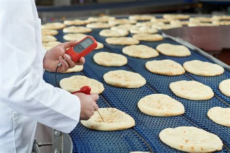 Complete Guide To Food Cooking Temperature Control