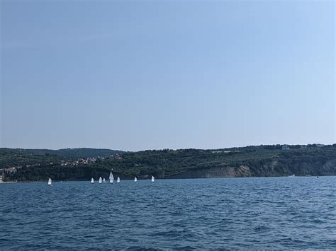 Sea Ai Crowdsourced Sea Images · Datasets At Hugging Face