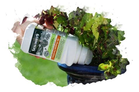 ТОП 8 лучших удобрений для растений рейтинг отзывы