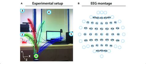 Experimental Setup And EEG Montage A Experimental Setup Including Download Scientific